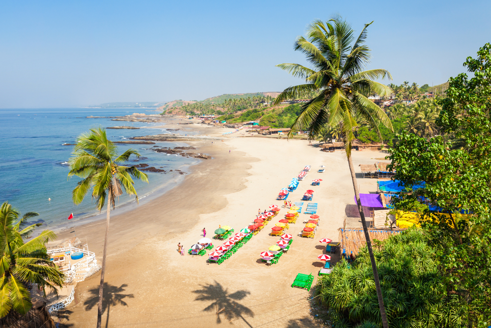 Thomas Cook collapse to have a direct impact on Goa Tourism; likely to ...