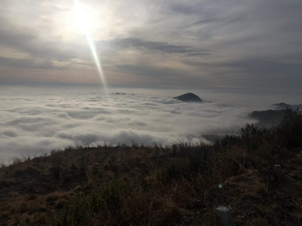 Charekh Food and Forest introduced at a hill station near Lansdowne ...