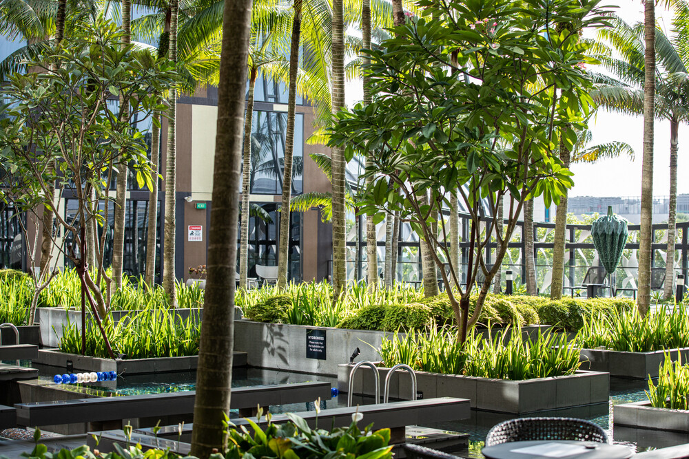 Ways to make your hotels space more sustainable - Hotelier India