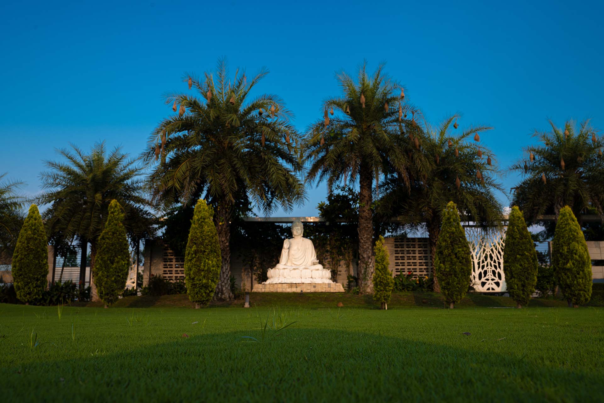 Baag-e-Fursat, an extravagant farmhouse rises from the still ground ...