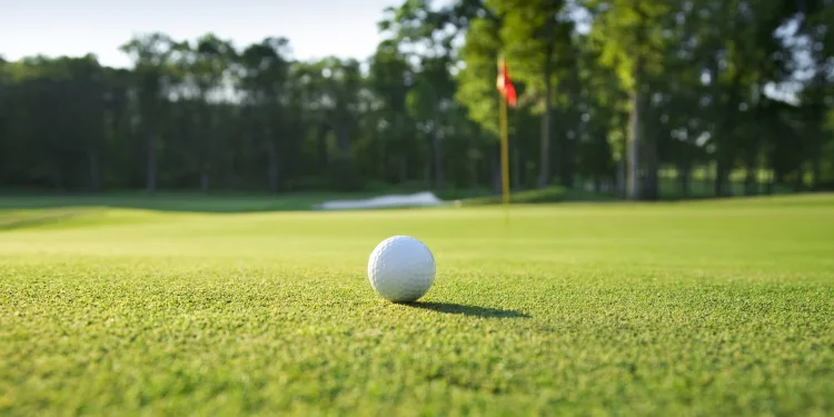 An expert's guide to the best golf courses in India - Hotelier India