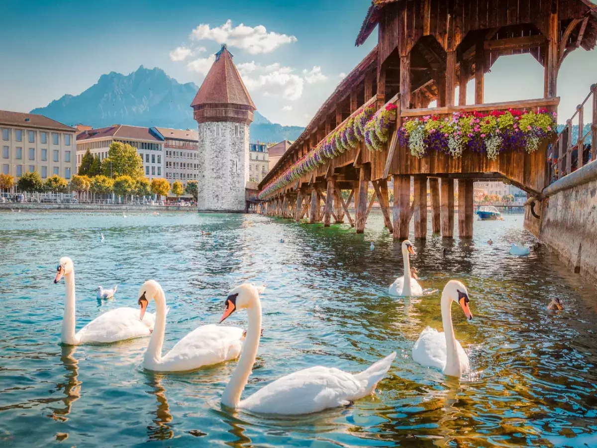 How Switzerland is leading the way in sustainability? - Hotelier India