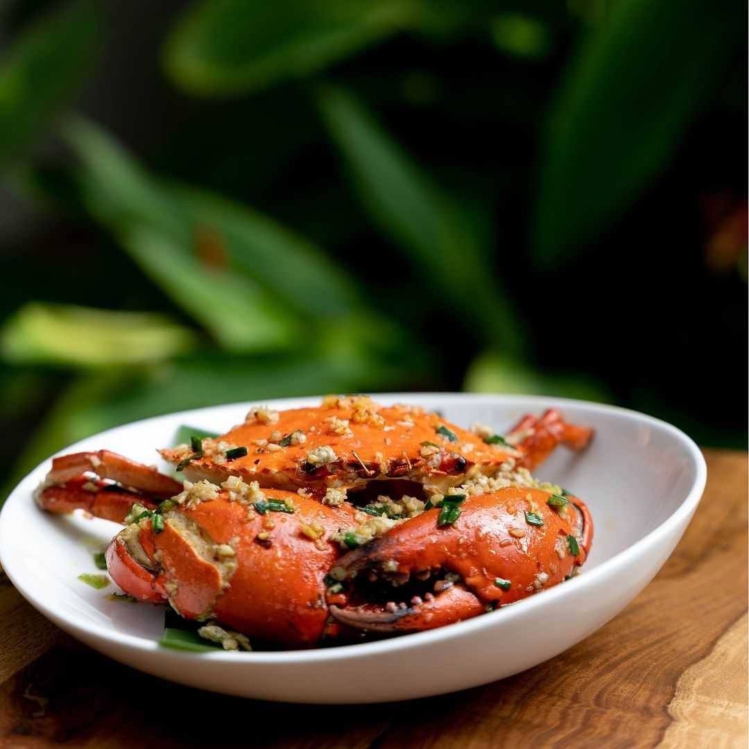 Infusing the essence of Goan cuisine in the heart of Delhi - Hotelier India