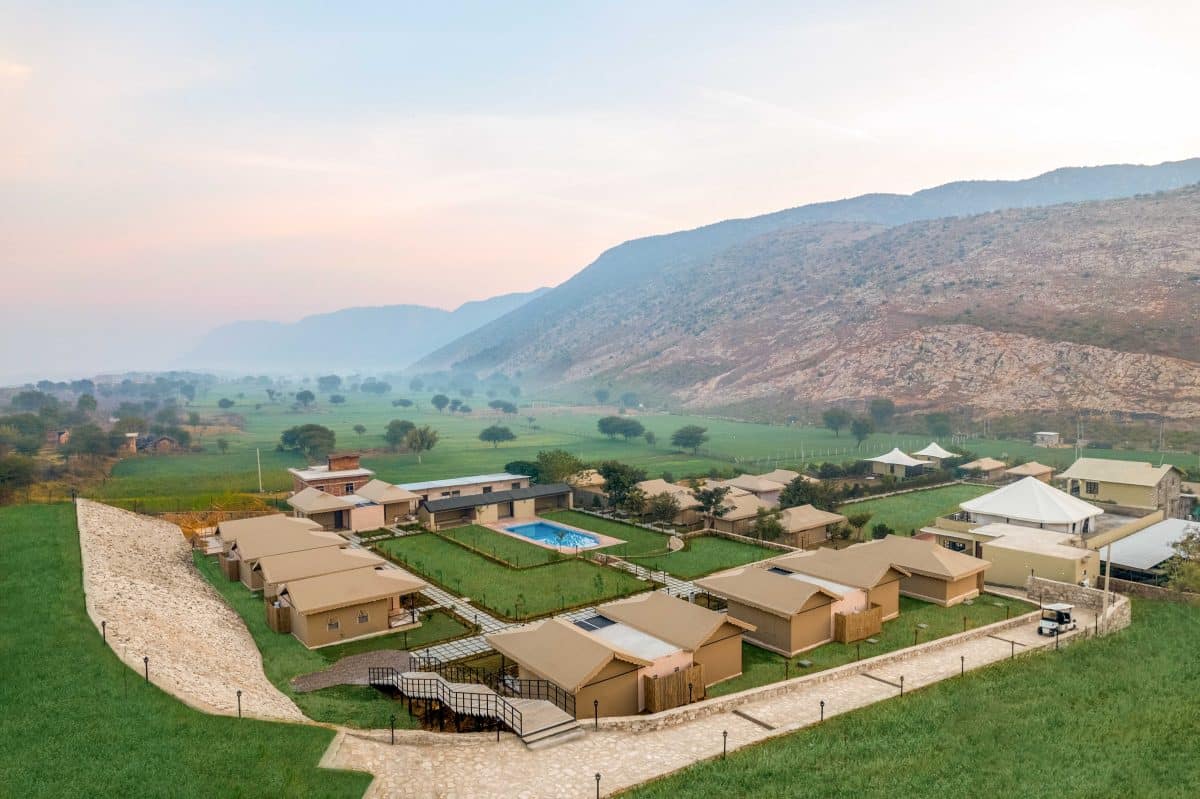 Sterling Rewild Sariska is the new destination for wildlife enthusiasts ...