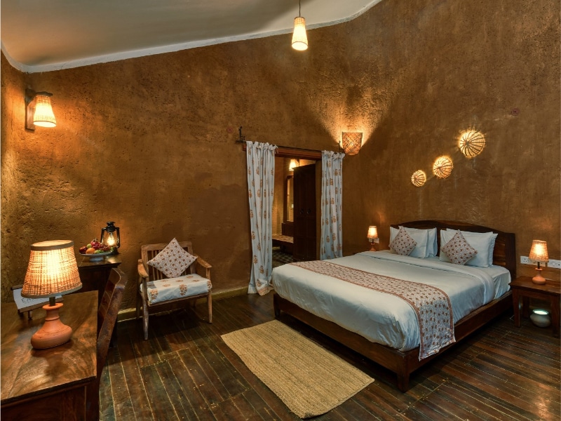Unveiling The Earth at Ranthambore's exclusive summer experiences ...