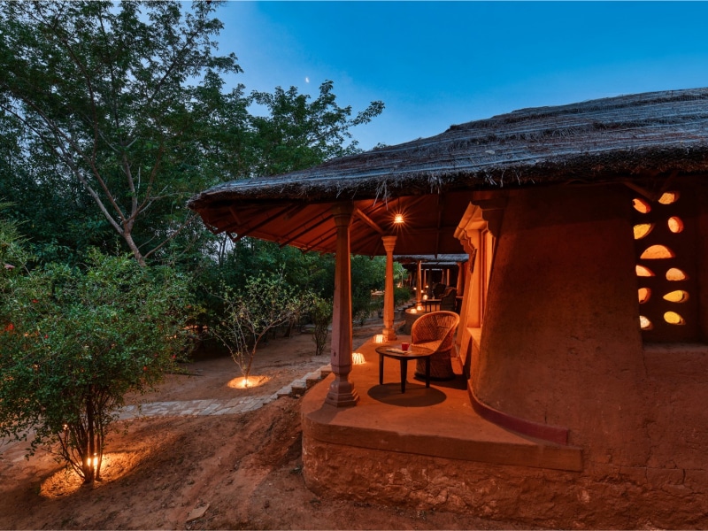 Unveiling The Earth at Ranthambore's exclusive summer experiences ...