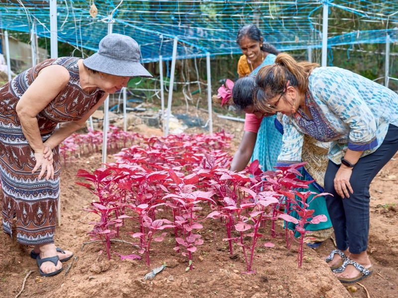 "Aaramam" by The Leela Kovalam, A Raviz Hotel, promotes farm-to-fork ...
