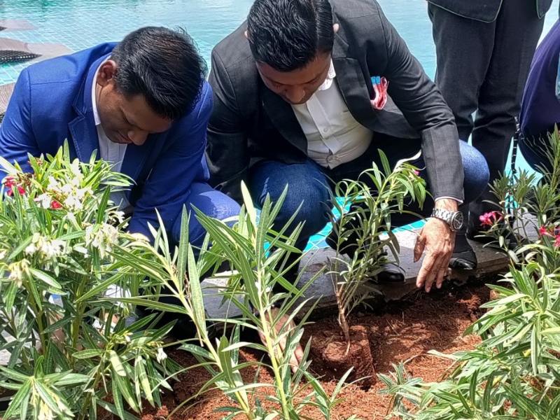 Marriott implements 'Two Trees per Room' across 150 hotels - Hotelier India