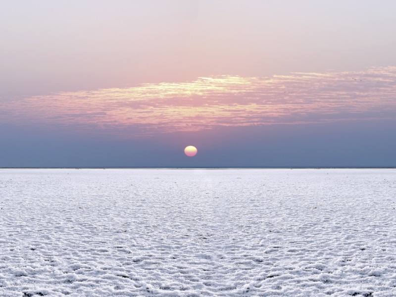 Evoke Experiences opens White Rann, The Tent City in Dholavira, Kutch ...