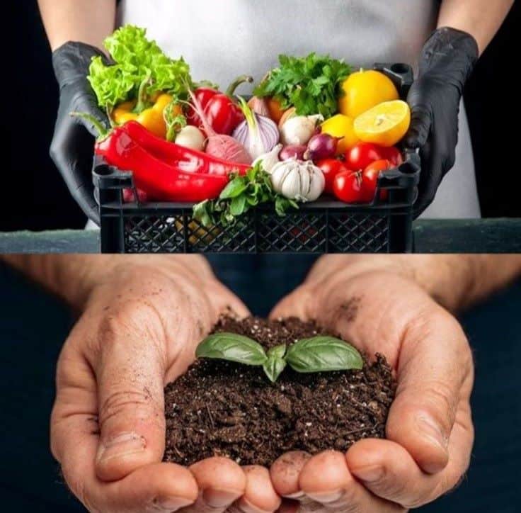 India strives for planet-friendly food more than the developed ...