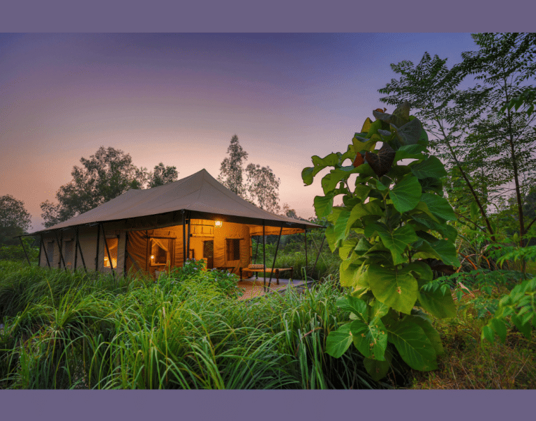 Araiya Hotels unveils two luxury retreats in Uttarakhand - Hotelier India