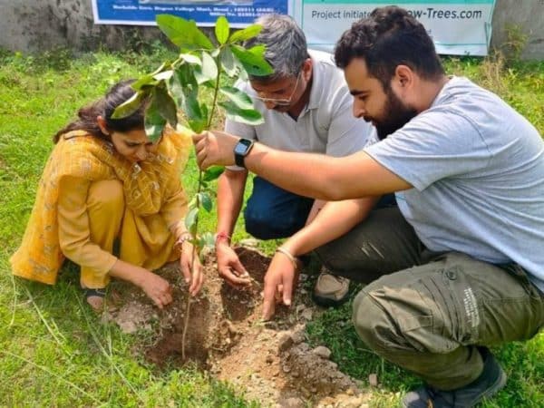 26,000 trees planted in Katra to boost reforestation - Hotelier India